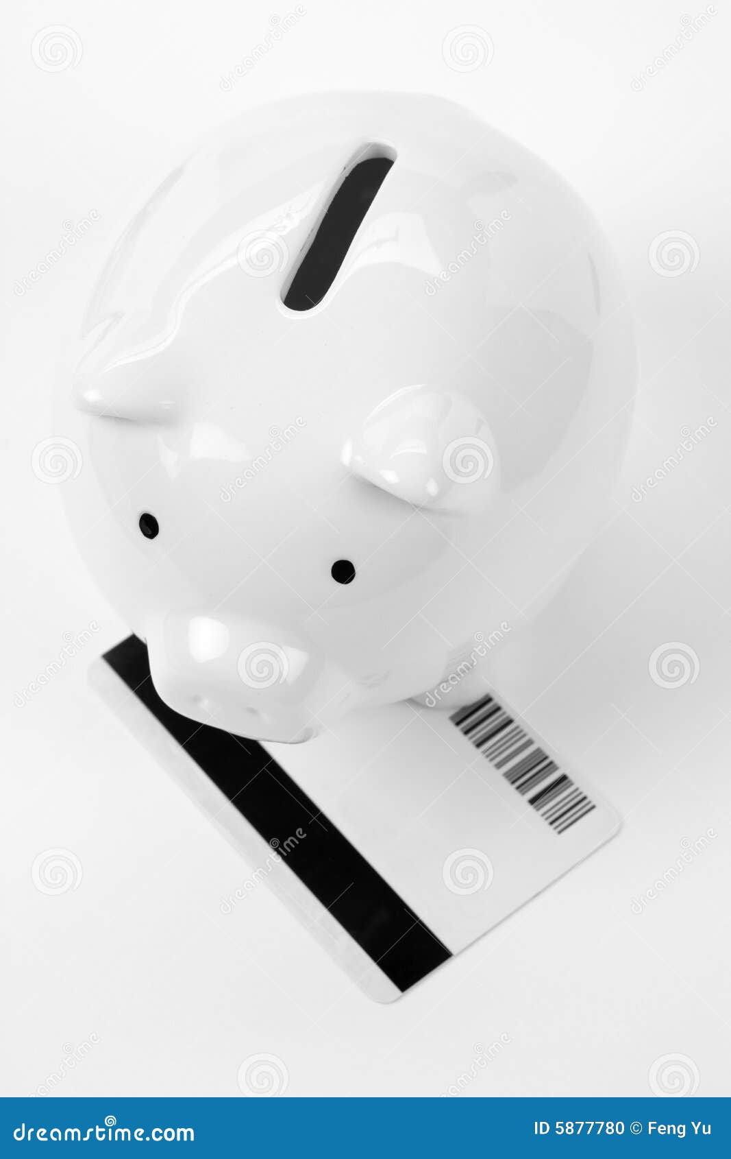 Piggy Bank and Credit Card stock photo. Image of barcode - 5877780