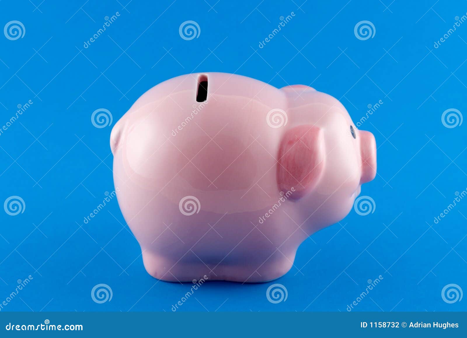 Piggy Bank Side-on stock photo. Image of rate, piggy, dollar - 1158732