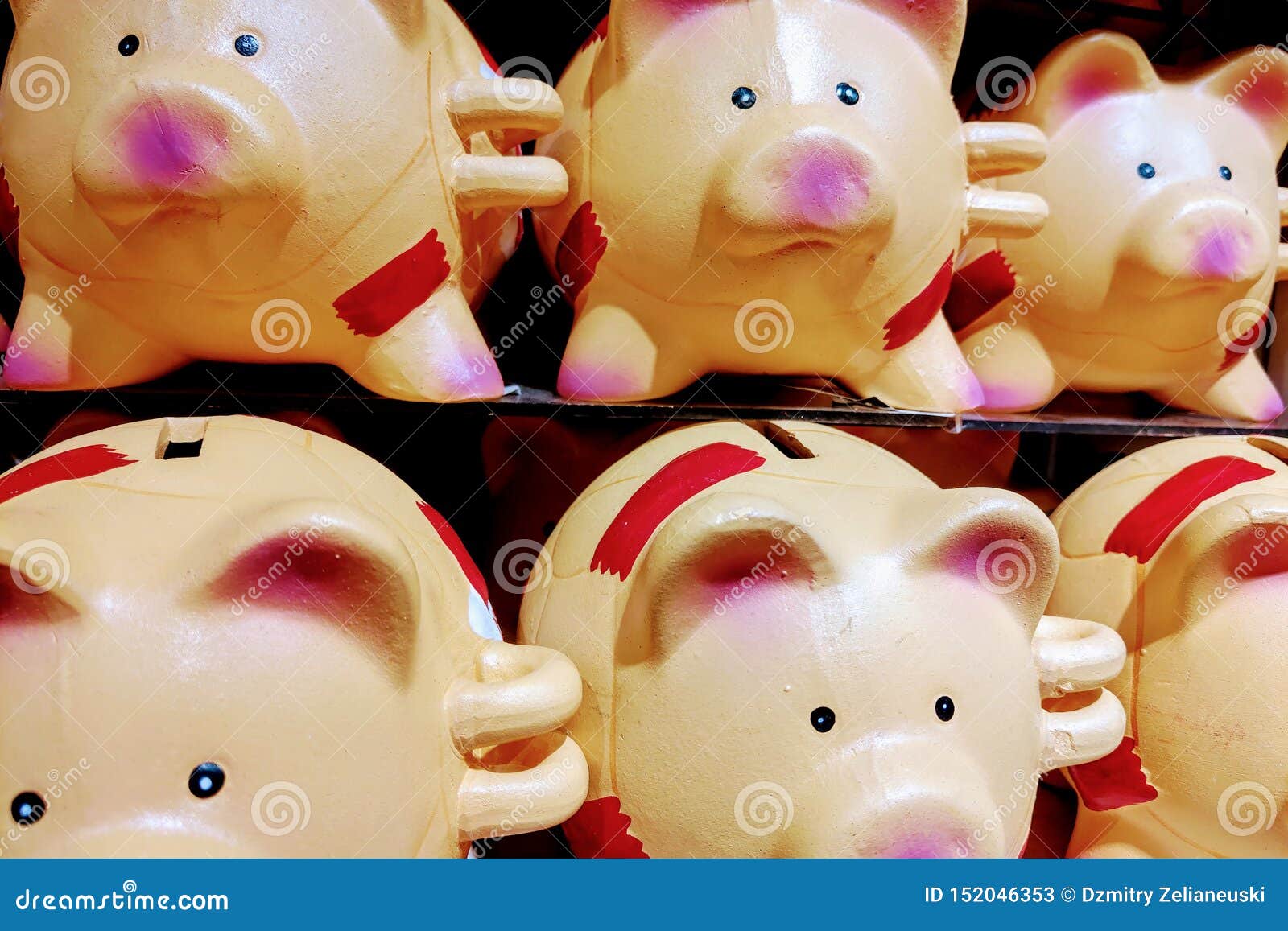 Piggy Piggy Banks Stand on the Shelf Stock Image - Image of feline ...
