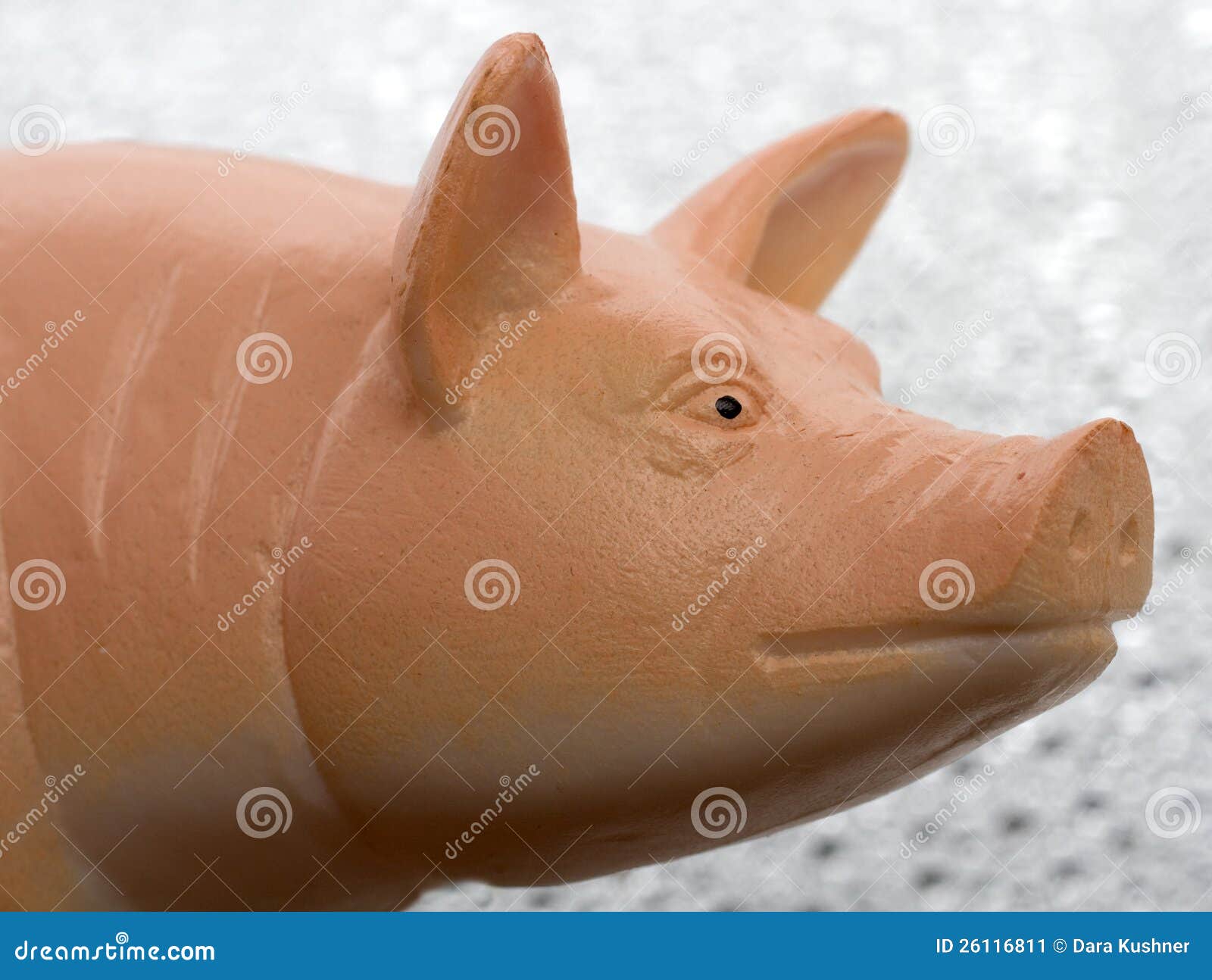 Piggy Face stock image. Image of pork, obesity, animal - 26116811