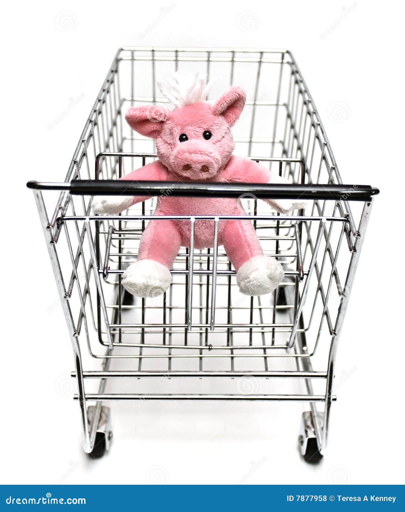 Piglet in Car stock photo. Image of items, concept, item - 7877958