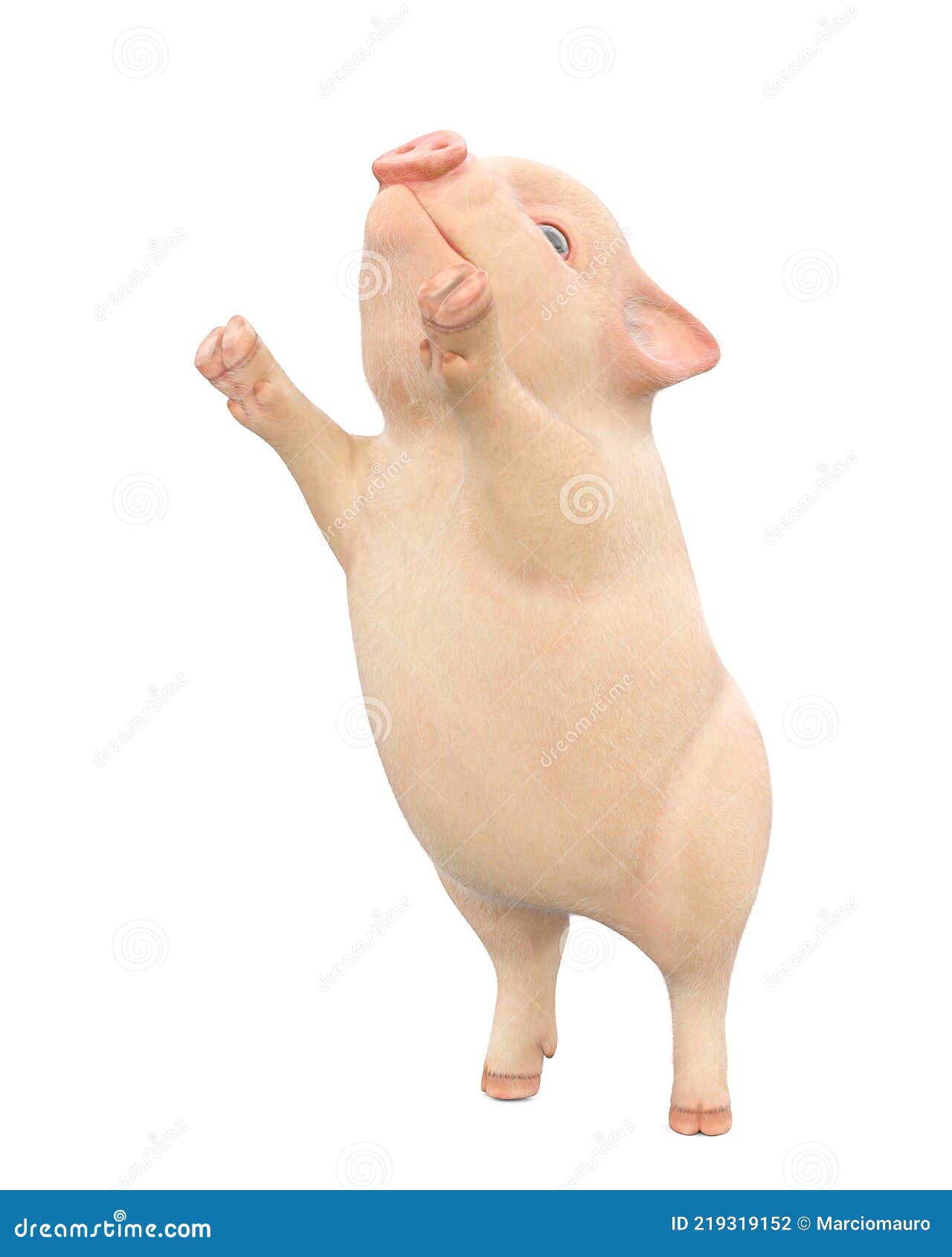 Pig Standing Upright