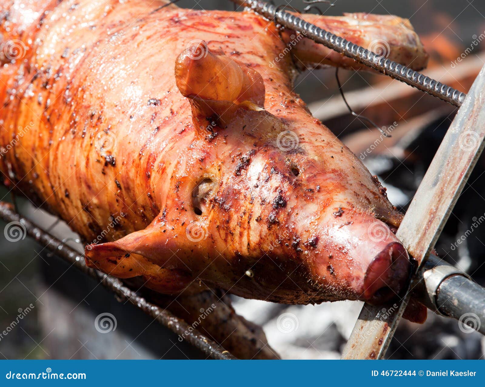 Pigling stock photo. Image of roasted, delicious, pigling - 46722444