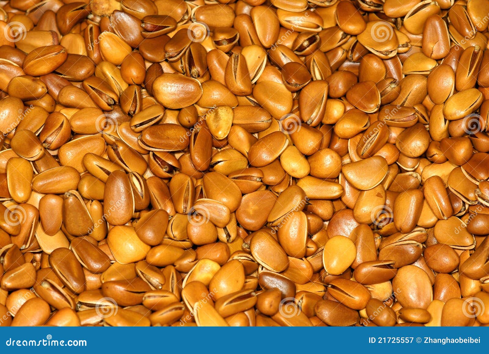 Pignon image stock. Image du nosh, refection, frit, graines - 21725557