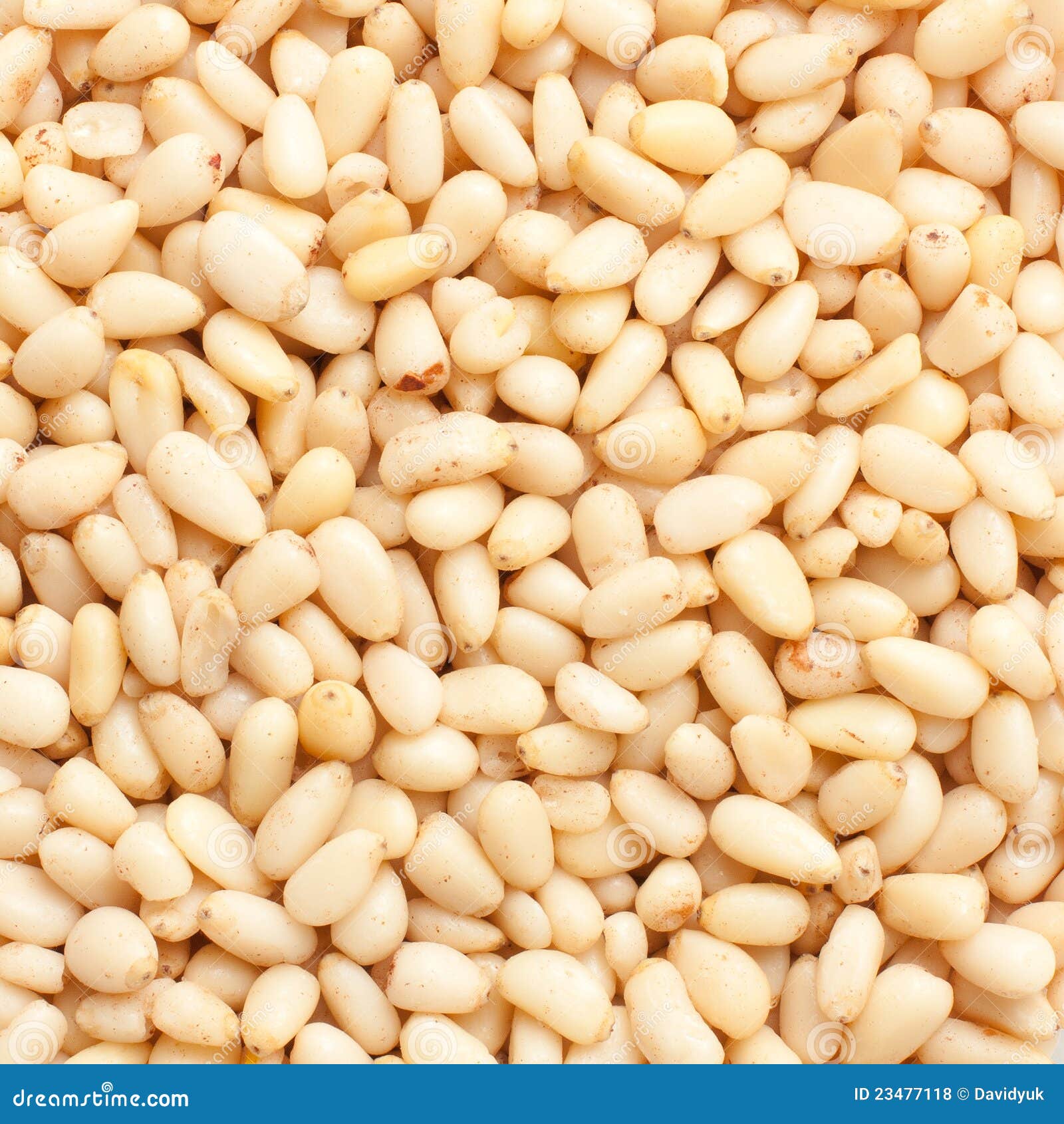 Pignons photo stock. Image du beige, régime, photographie - 23477118
