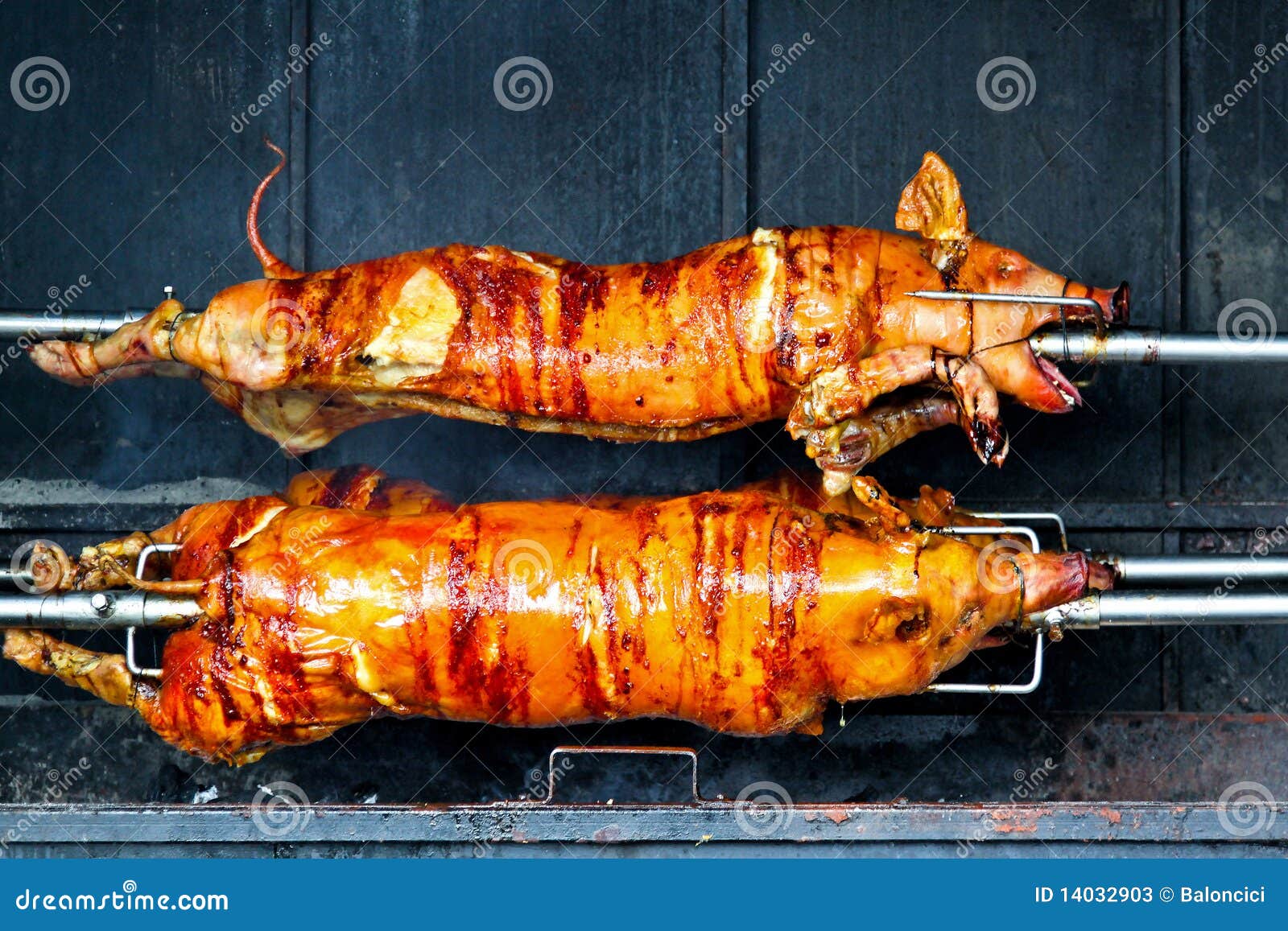Pigs on broach stock image. Image of grill, skewer, roast - 14032903