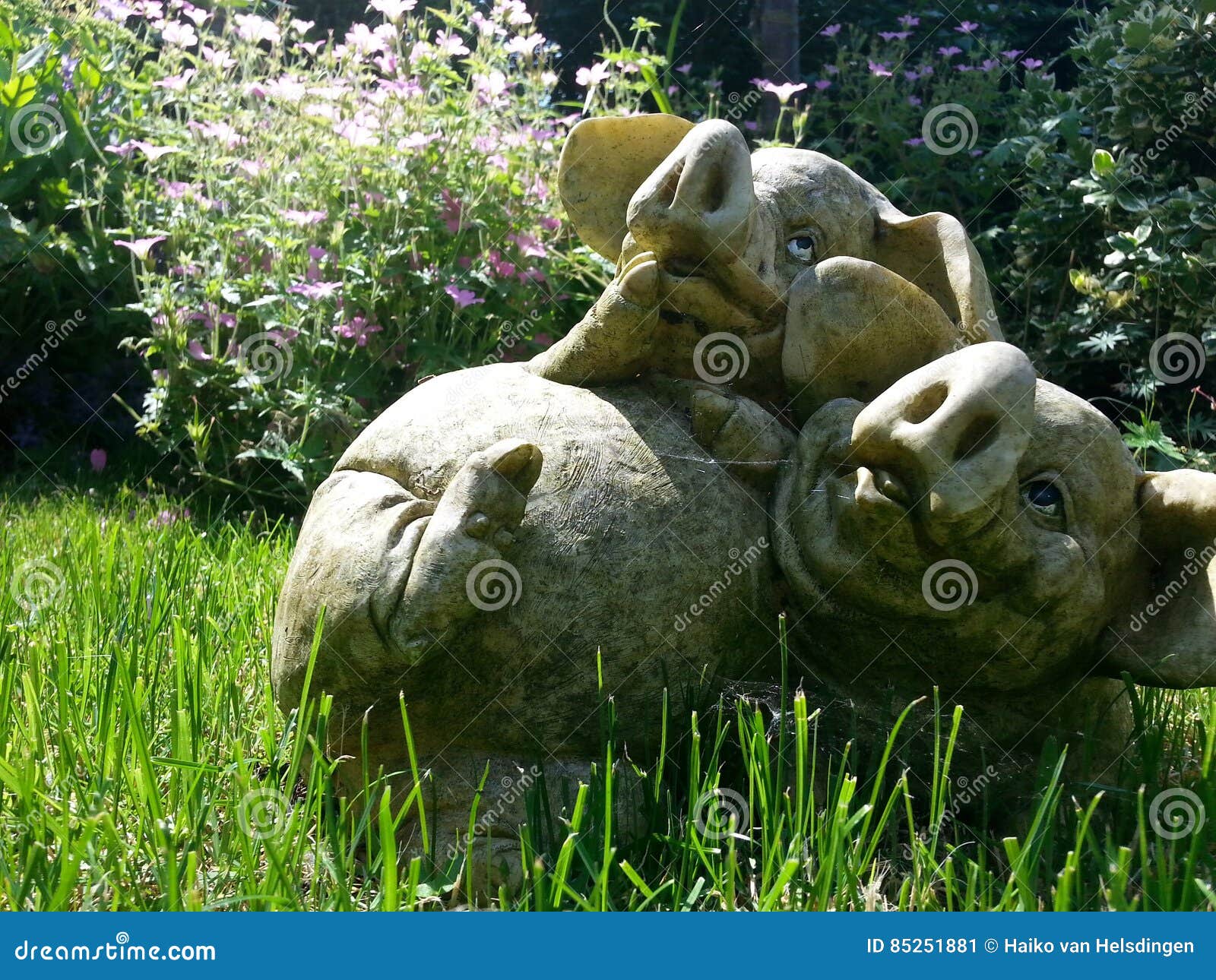 Pigs in a garden stock image. Image of kitch, stone, backyard - 85251881