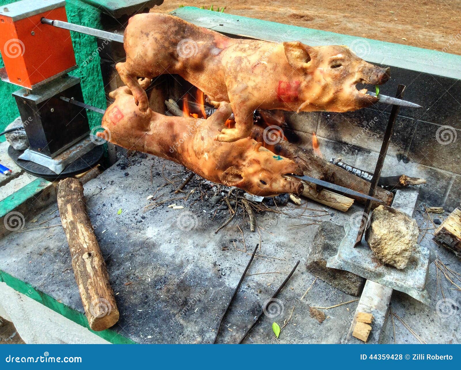 Pigs on the spit stock photo. Image of sardinia, pigs - 44359428