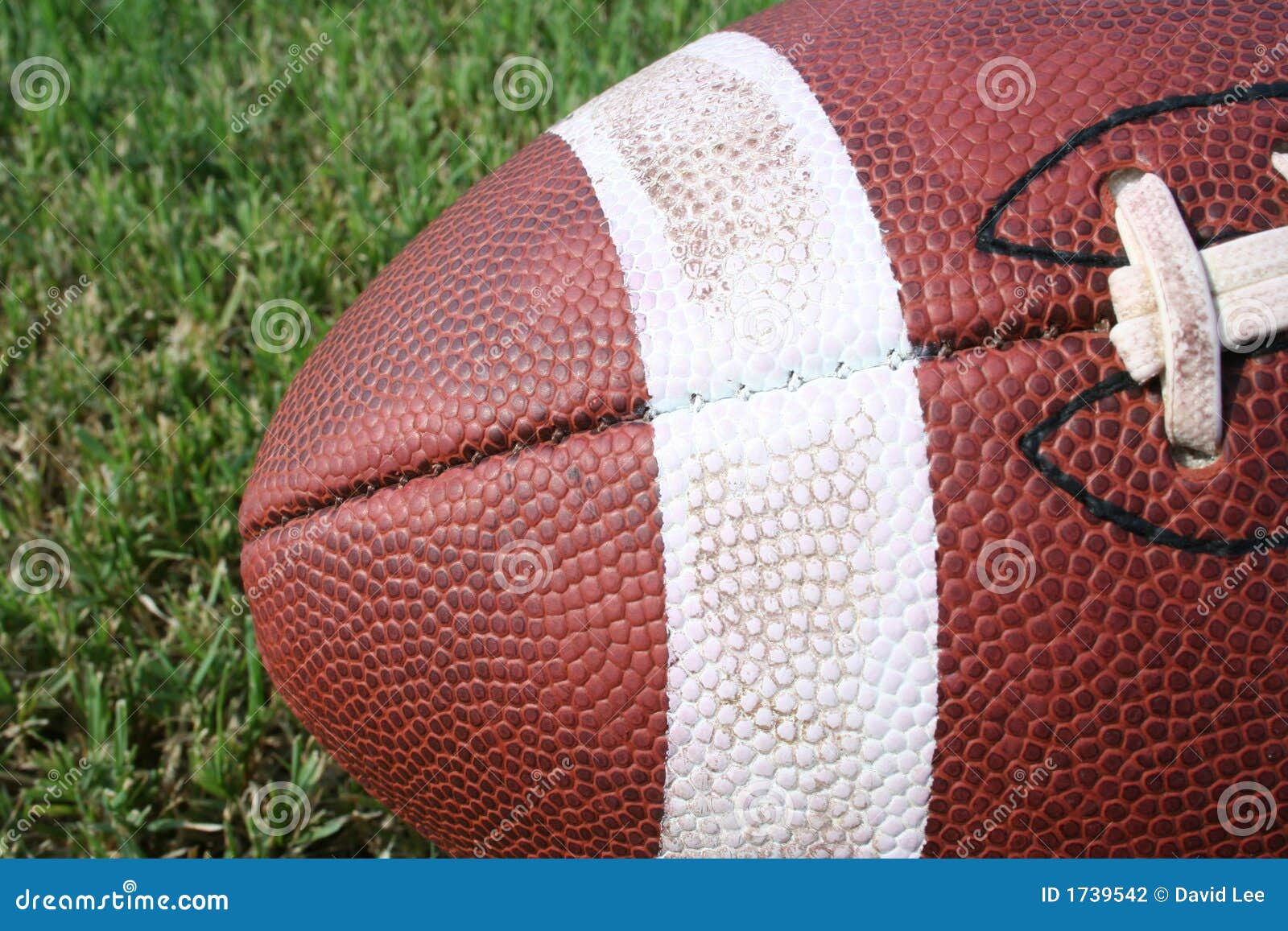 Pigskin stock photo. Image of athlete, laces, pigskin - 1739542
