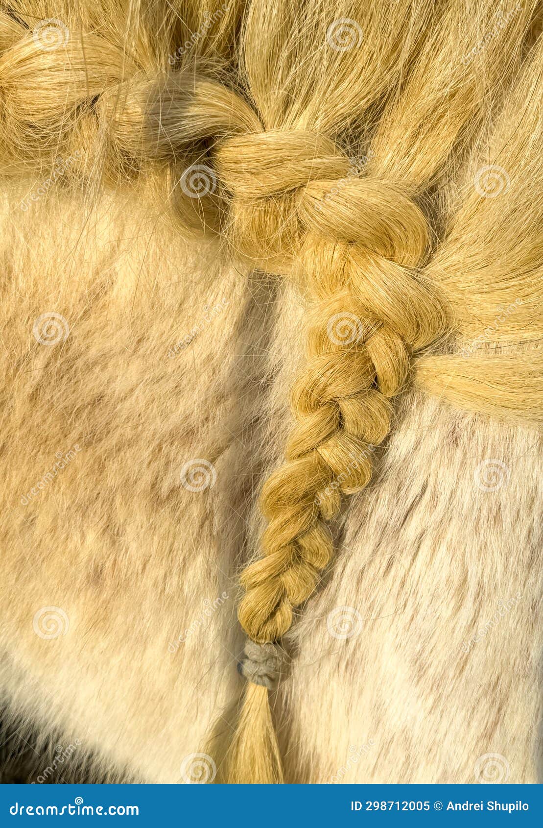 A Pigtail from a Horse S Mane. Close-up Stock Image - Image of equine ...