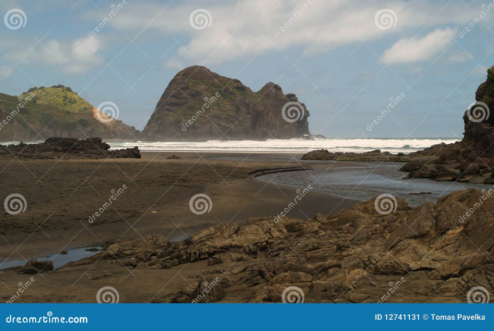 Piha beach stock image. Image of stone, bush, wave, sand - 12741131
