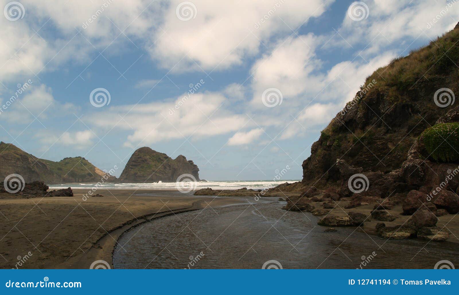 Piha beach stock photo. Image of south, forest, bush - 12741194