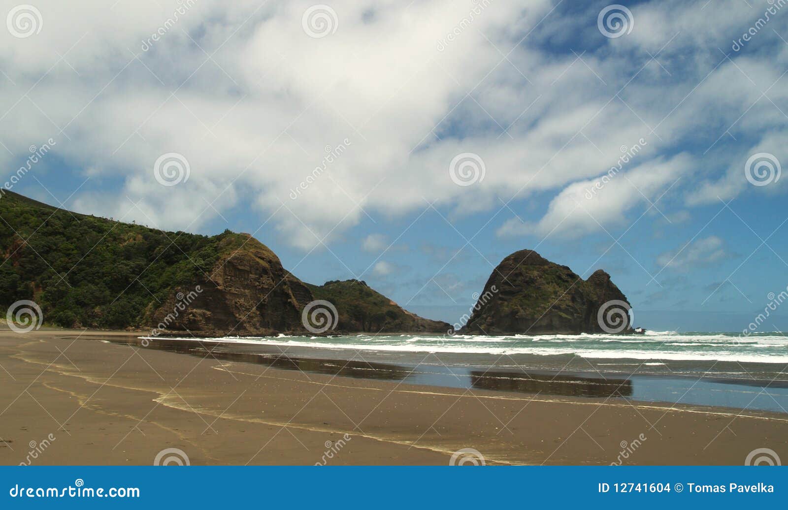 Piha beach stock photo. Image of tree, green, mountain - 12741604
