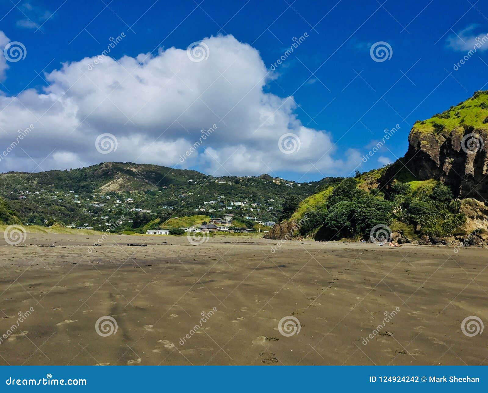 Piha beach, NZ. stock photo. Image of beautiful, piha - 124924242