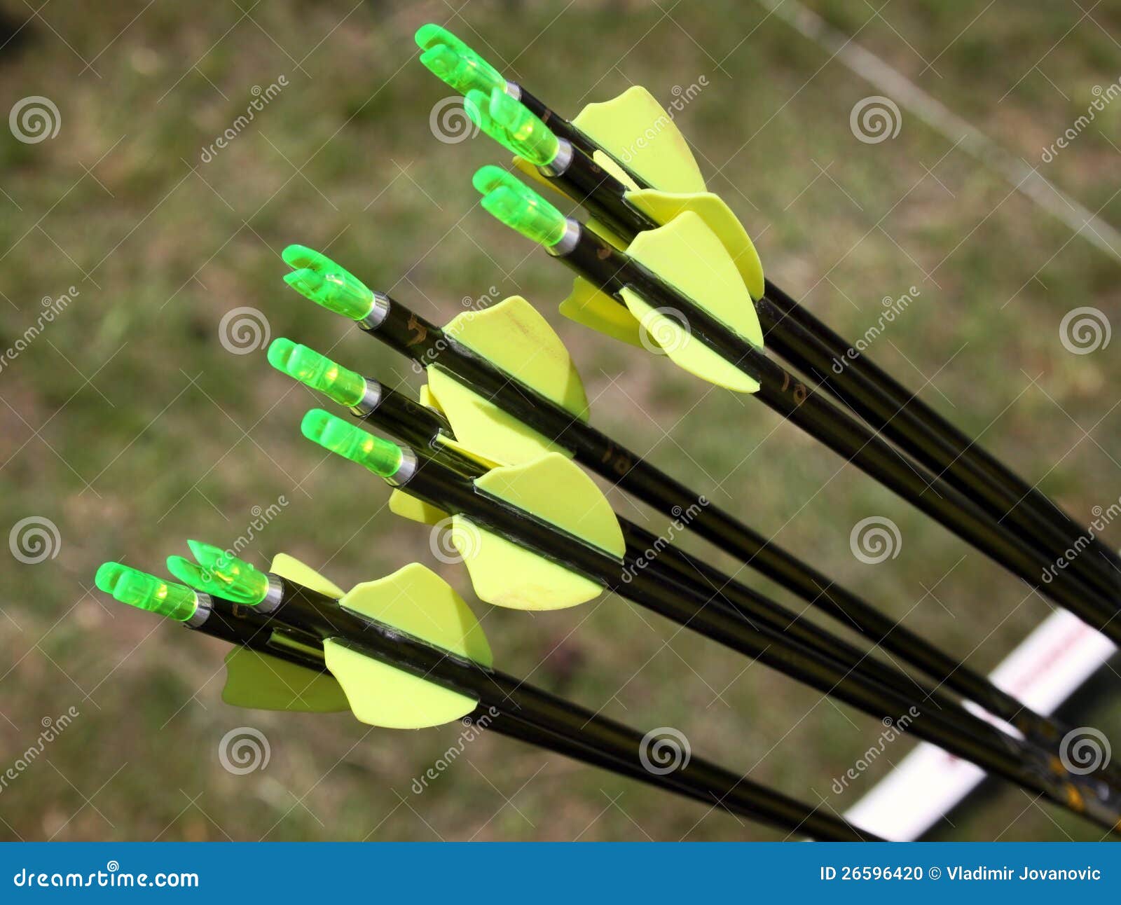 Pijlen stock foto. Image of boogschieten, pijlen, veren - 26596420