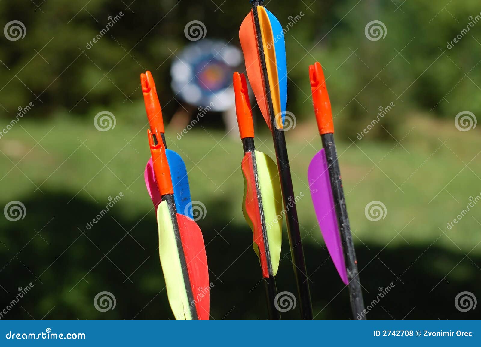 Pijlen stock foto. Image of bullseye, gras, doel, winnen - 2742708