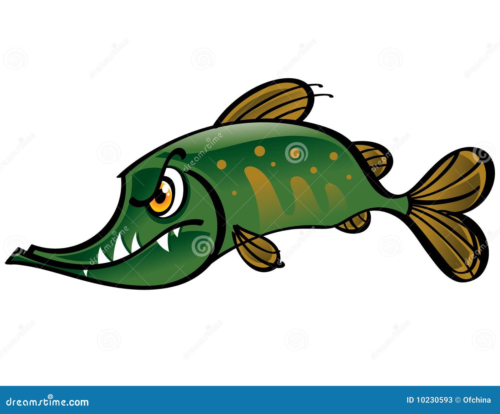 Pike stock vector. Illustration of mean, danger, aggression - 10230593