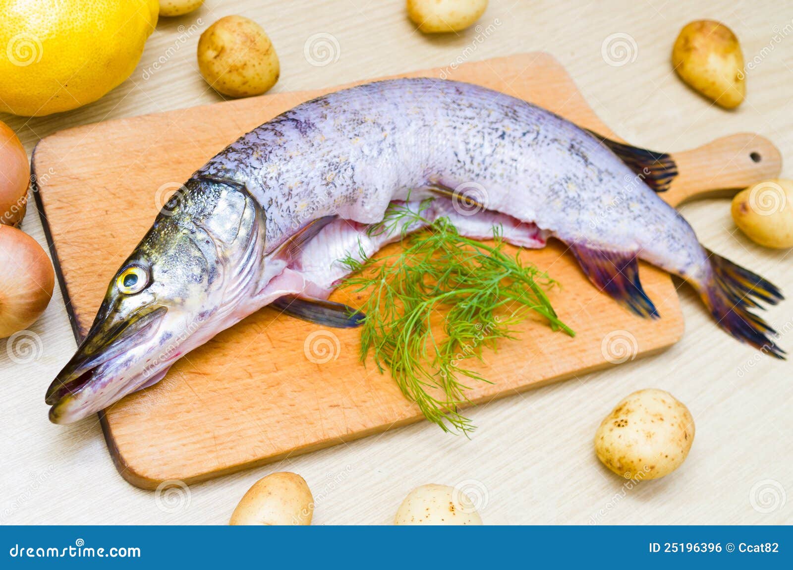 Pike stock photo. Image of marine, appetizer, cooked - 25196396