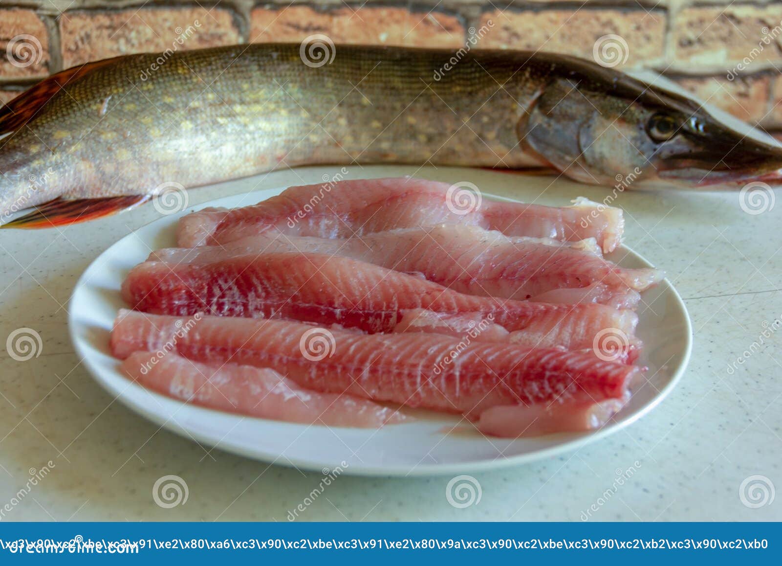 Pike fillet stock photo. Image of pike, filleting, background - 140002582