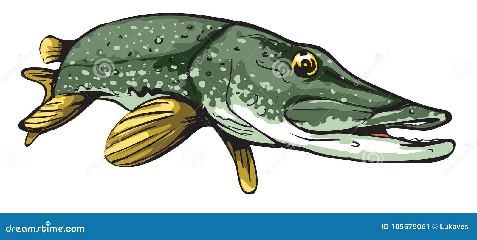 Pike Cartoons, Illustrations & Vector Stock Images - 11744 Pictures to ...