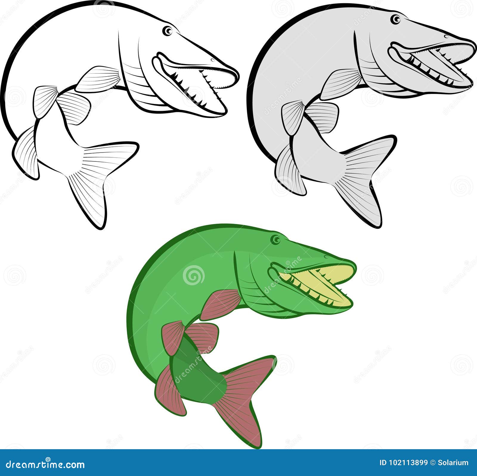 Common Pike Conger. Hand Drawn Realistic Black Line Illustration ...