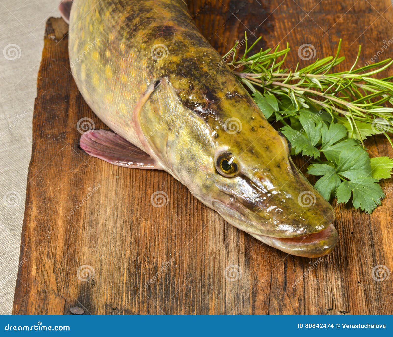 Pike fish- Esox lucius stock photo. Image of pike, food - 80842474