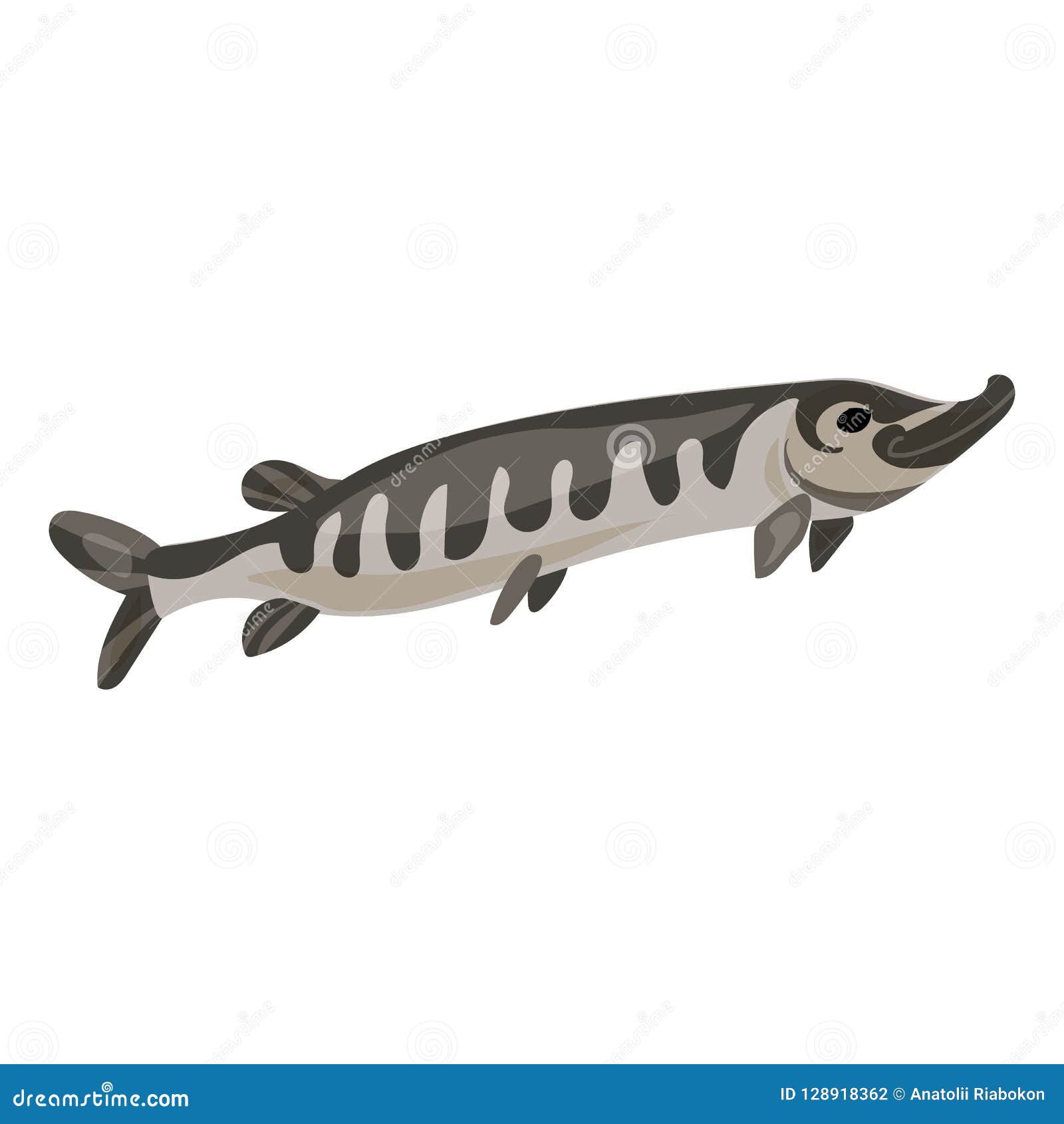 Pike Fish Icon, Cartoon Style Stock Vector - Illustration of contest ...