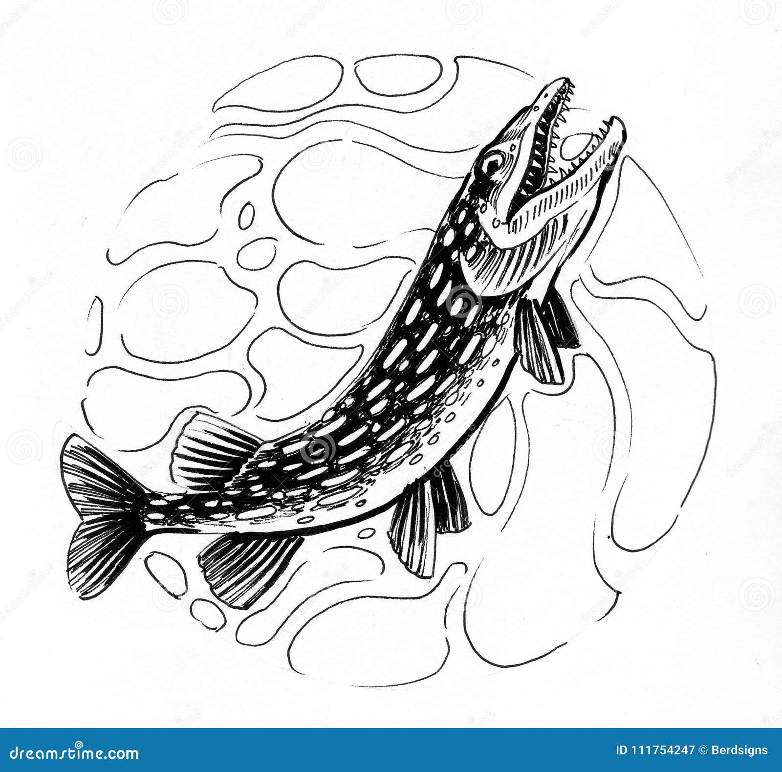 Pike fish stock illustration. Illustration of sketch - 111754247