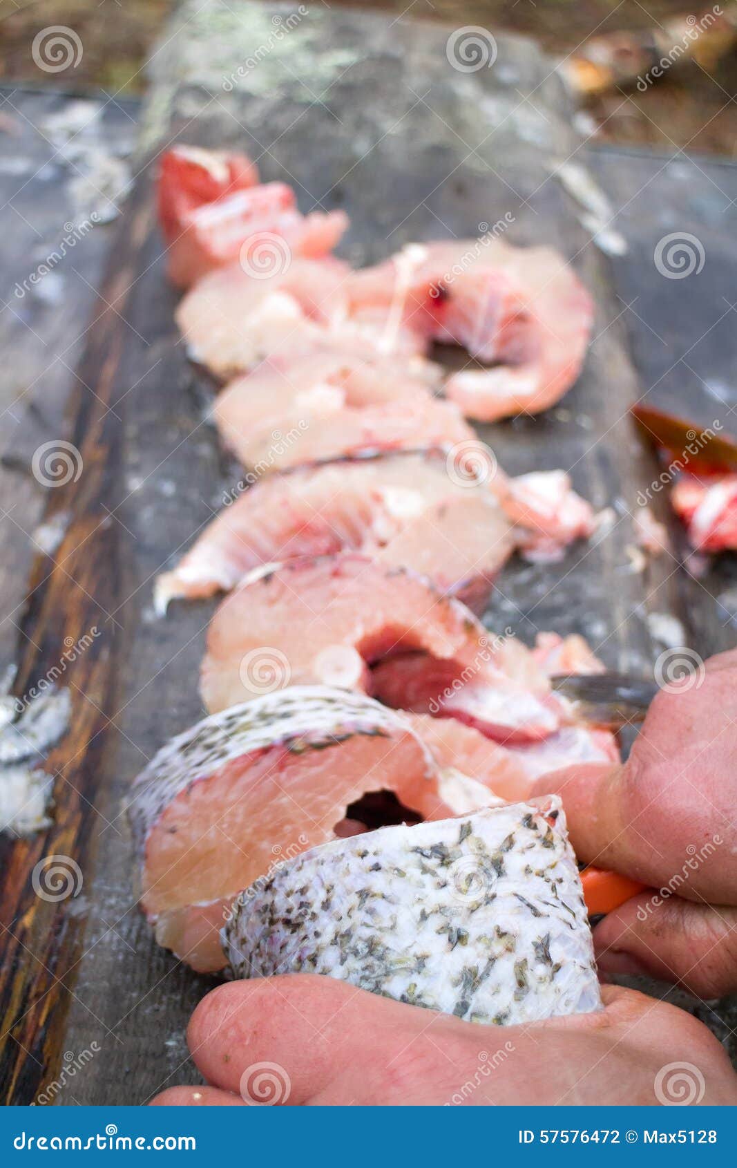 Pike fish meat for cooking stock photo. Image of life - 57576472