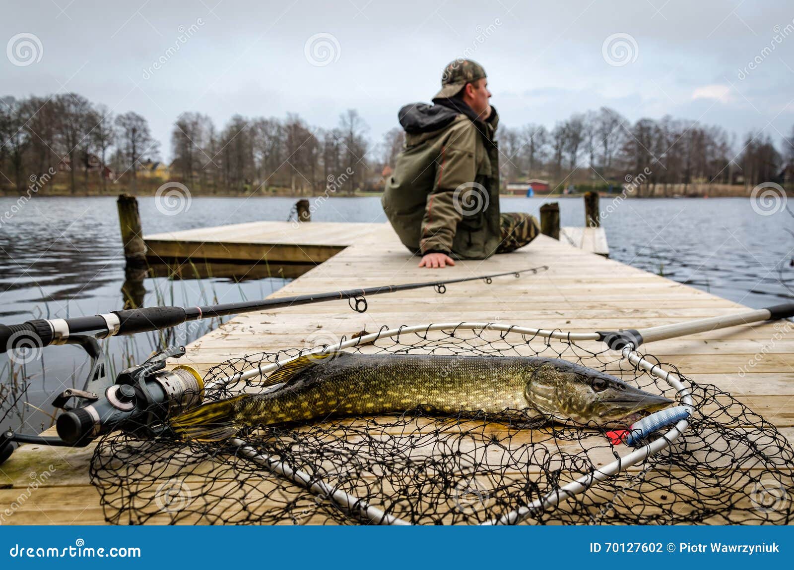 Pike Fishing in Spring Scenery Stock Photo - Image of angling, closeup ...