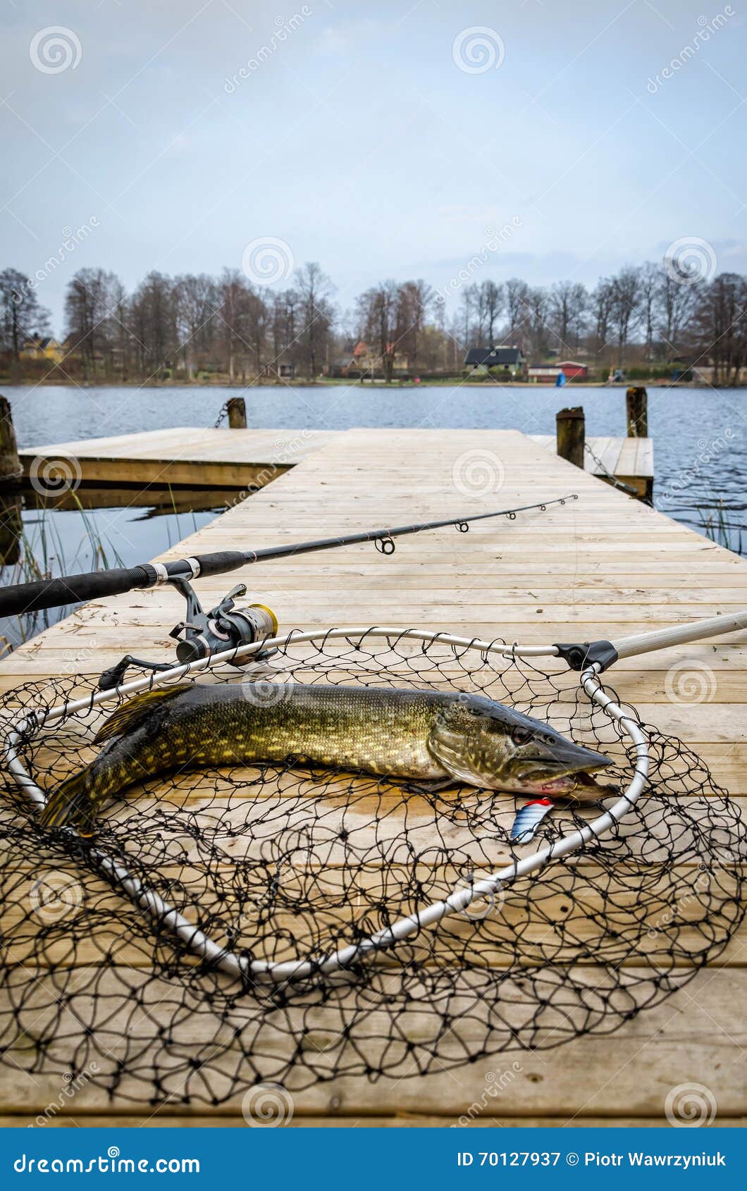 Pike Fishing. Photo Collage Of Rod With Lure Silhouette On Soft Focus ...