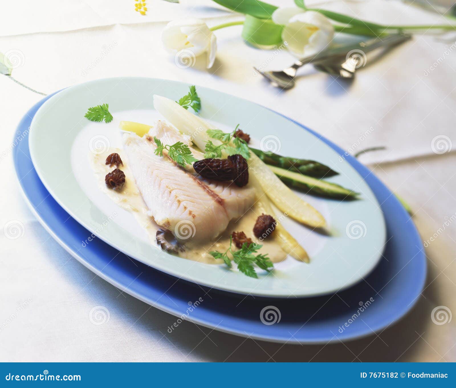 Pike-perch fillet stock photo. Image of poached, mushroom - 7675182