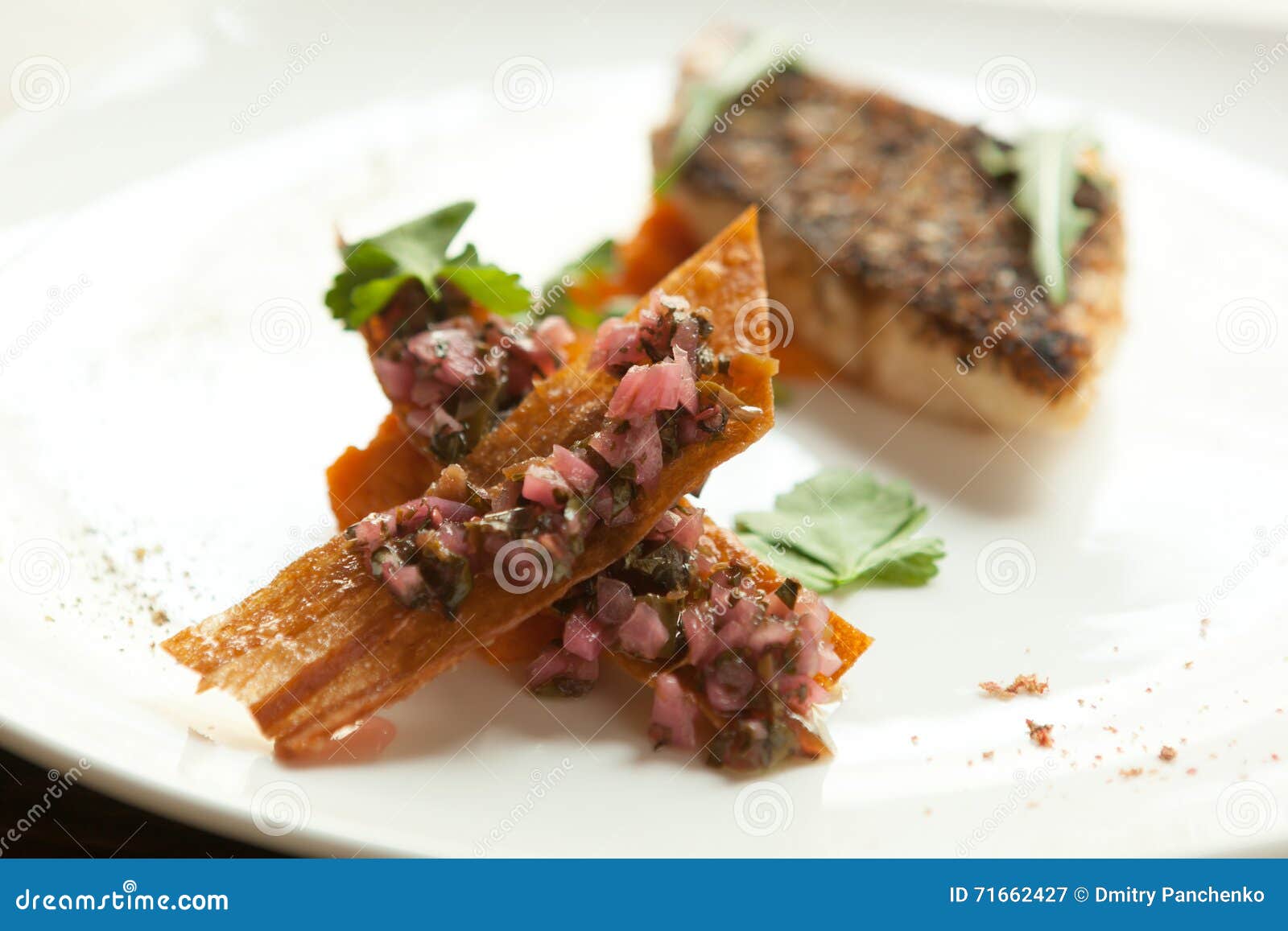 Pike-perch Fillet with Vegetable Sauce and Mexican Salsa. Stock Image ...