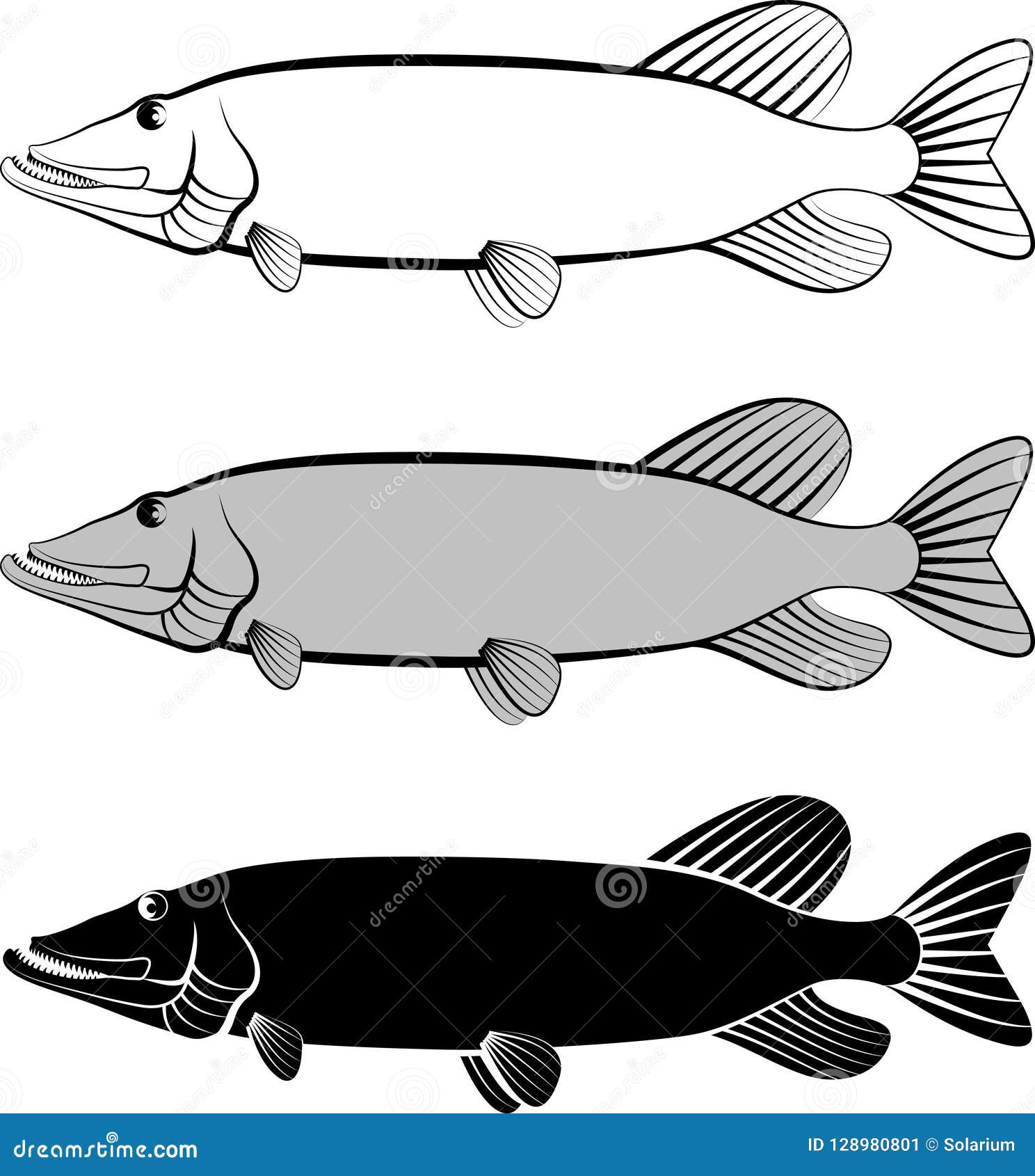 Muskellunge Muskie Musky Esox Masquinongy Or Lunge Jumping Up ...