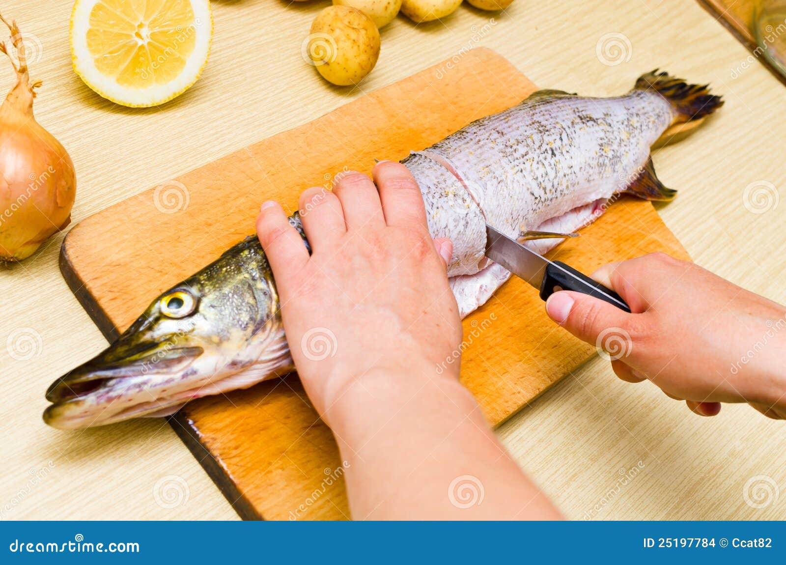 Pike during the Preparation Stock Photo - Image of dill, diet: 25197784