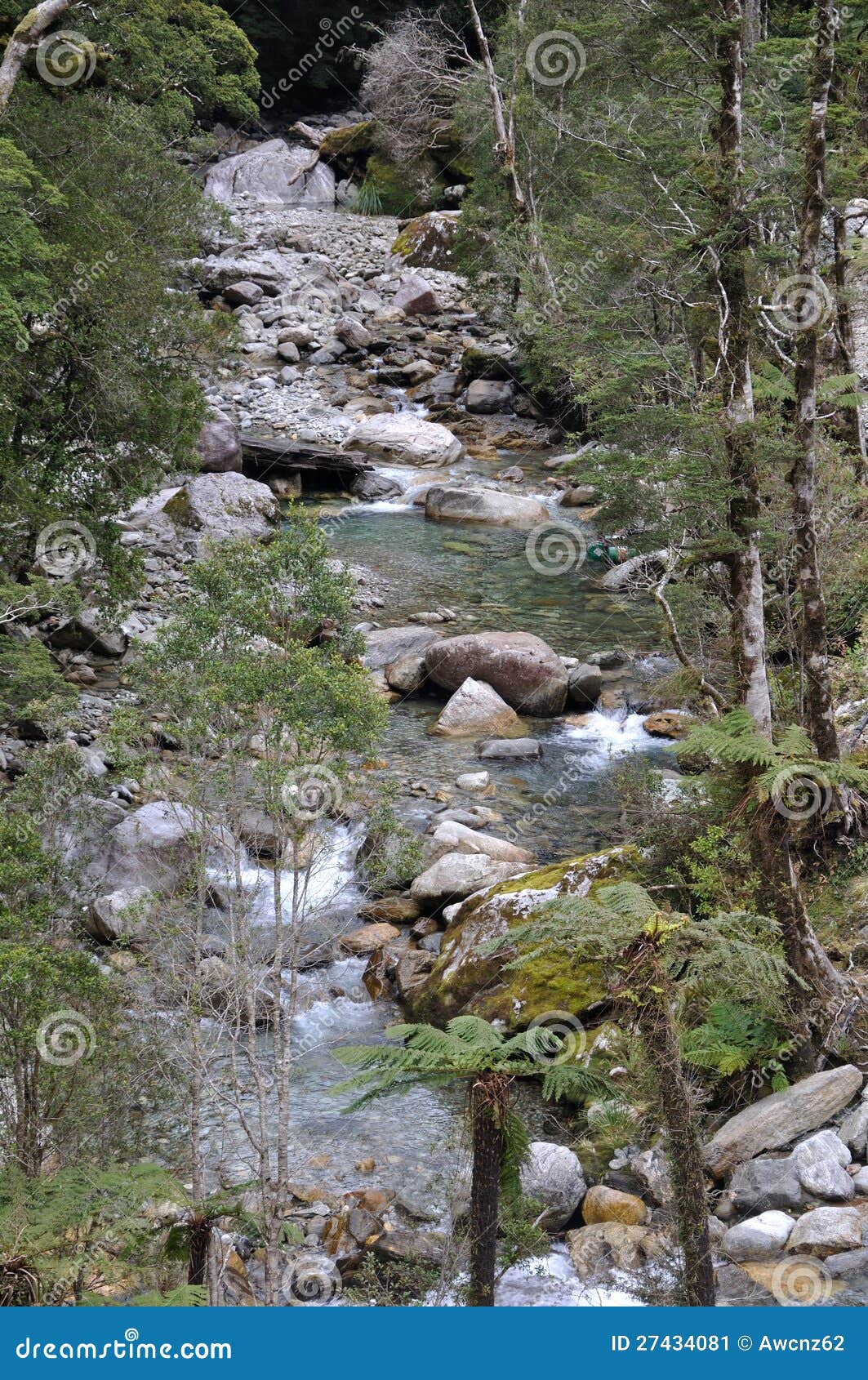 Pike River stock image. Image of west, fuels, nature - 27434081