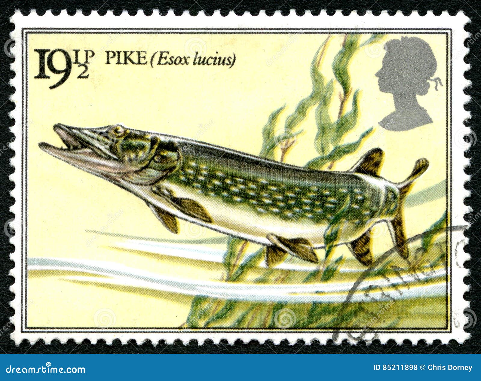 Pike UK Postage Stamp editorial stock photo. Image of celebrate - 85211898 Pike UK Postage Stamp editorial stock photo. Image of celebrate - 85211898