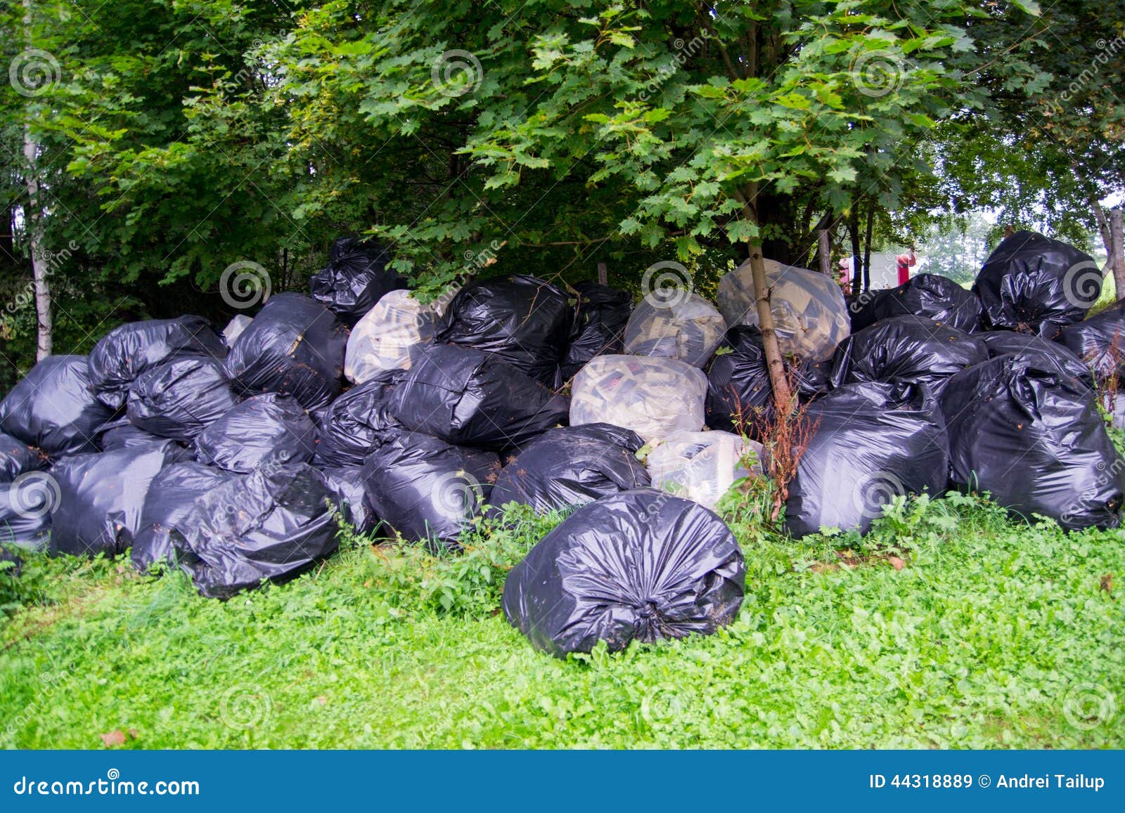 Pila De Basura En El Bosque Imagen de archivo - Imagen de muchacha ...