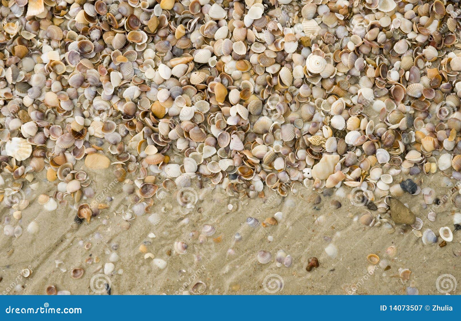 Pila del shell imagen de archivo. Imagen de lejos, medio - 14073507