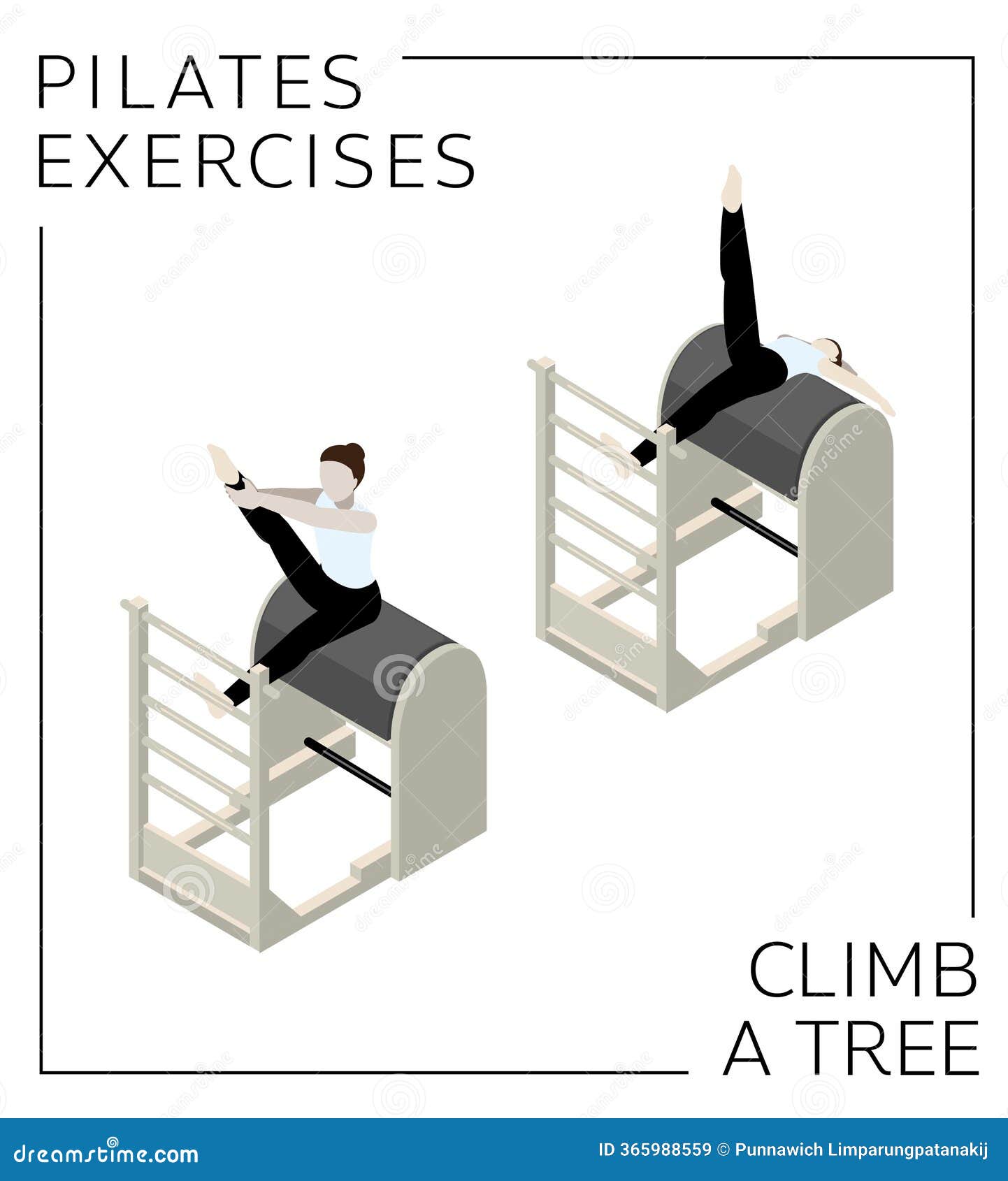 Pilates Exercise Pose Set Supine Stretch Backbend On The Barrel Ladder ...