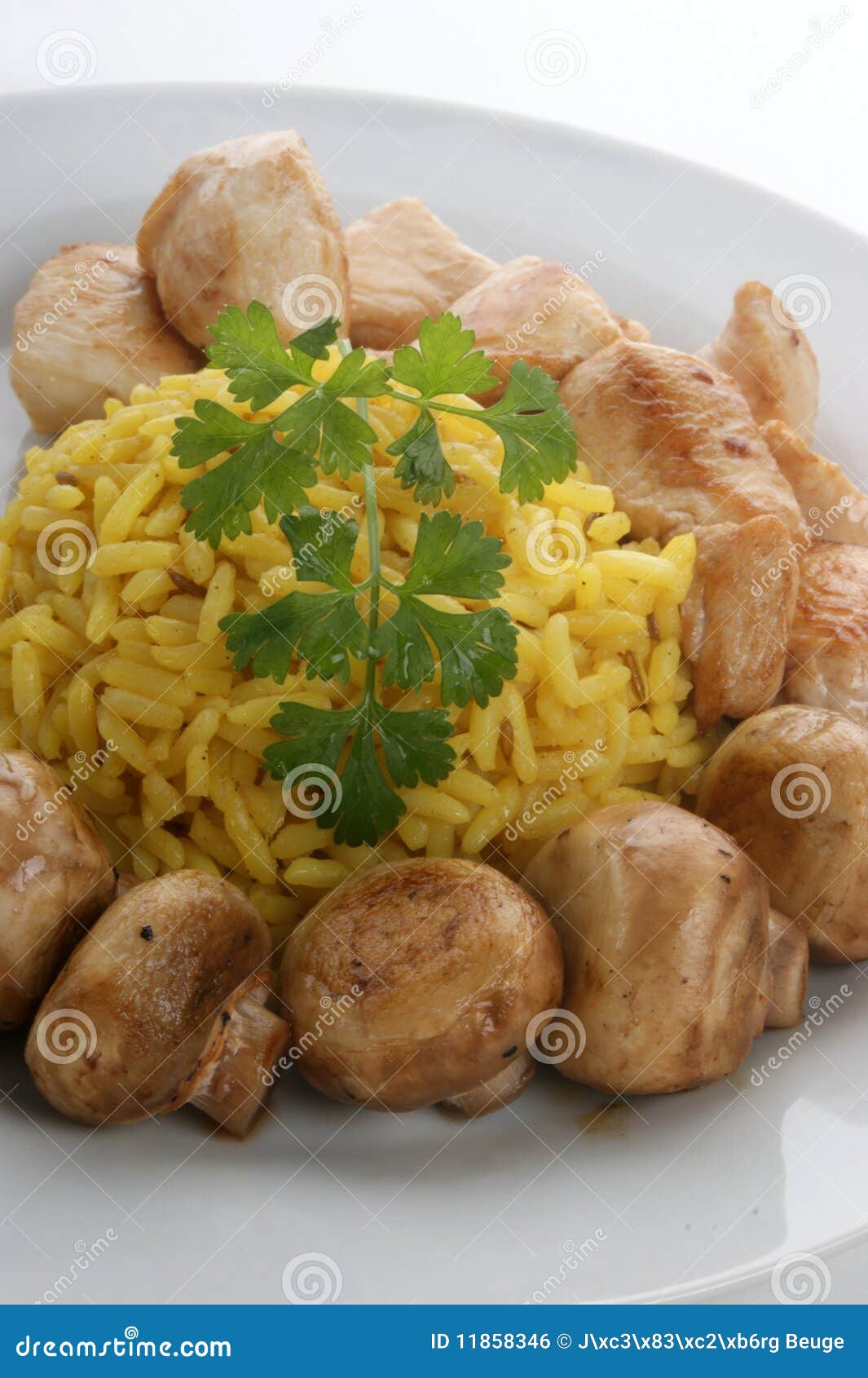 Pilau Rice with Grilled Chicken Stock Photo - Image of vegetable, fine ...