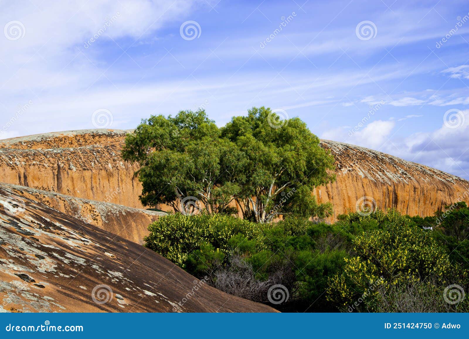 Pildappa Rock stock photo. Image of south, scenic, beautiful - 251424750