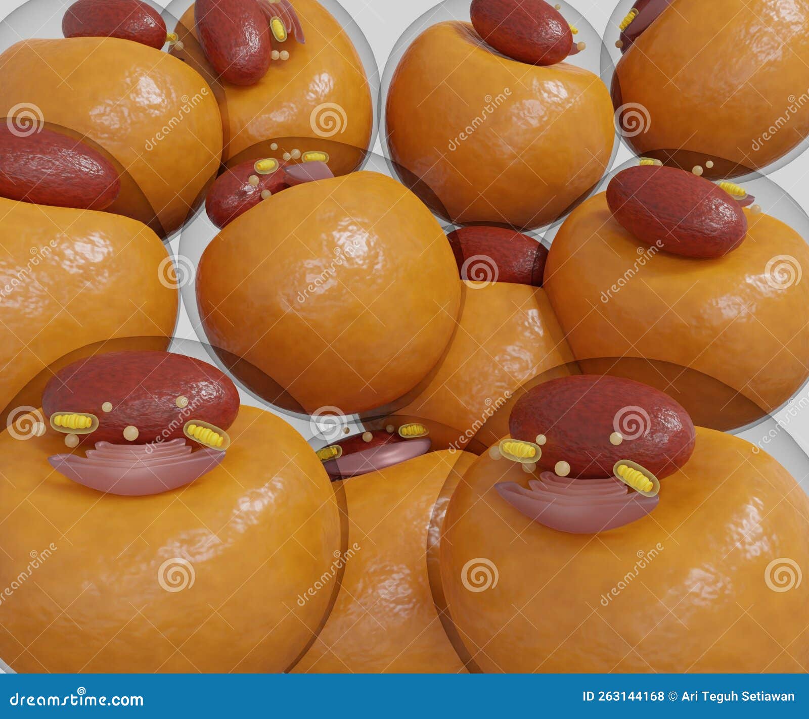 Pile Of Adipocytes, Also Known As Lipocytes And Fat Cells Stock ... Pile Of Adipocytes, Also Known As Lipocytes And Fat Cells Stock ...