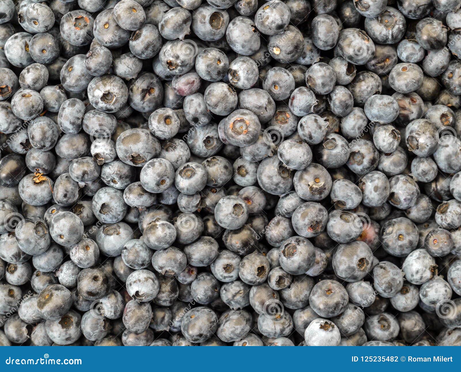 Pile of American Blueberries Stock Photo - Image of blueberry, fruit ...