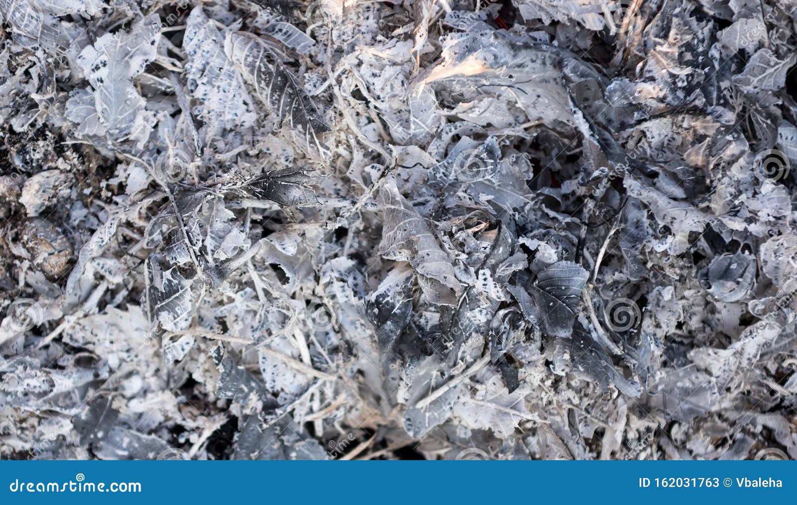 Ash Texture.Burned Out Ashes Grunge Texture Stock Image - Image of ...