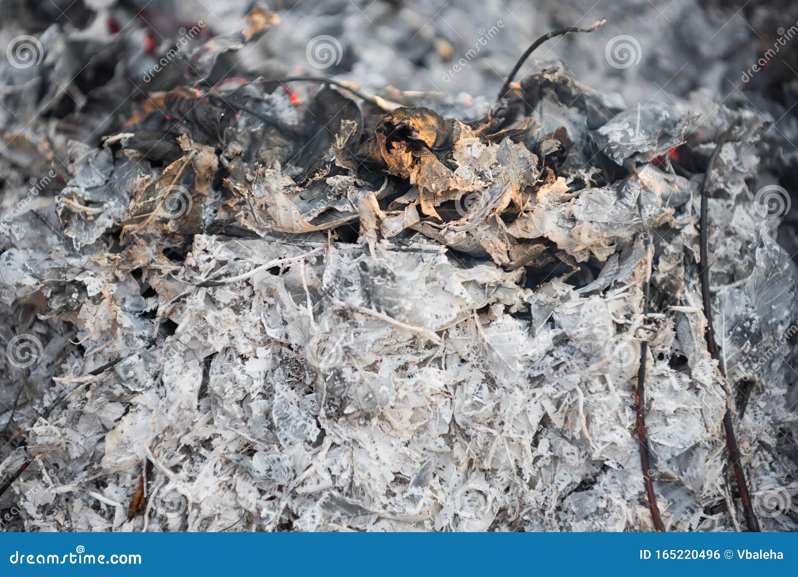 Pile of Ashes after the Fire. Ash Texture Stock Photo - Image of ...