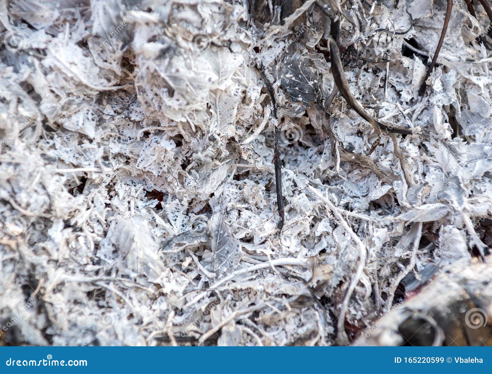 Pile of Ashes after the Fire. Ash Texture Stock Image - Image of nature ...