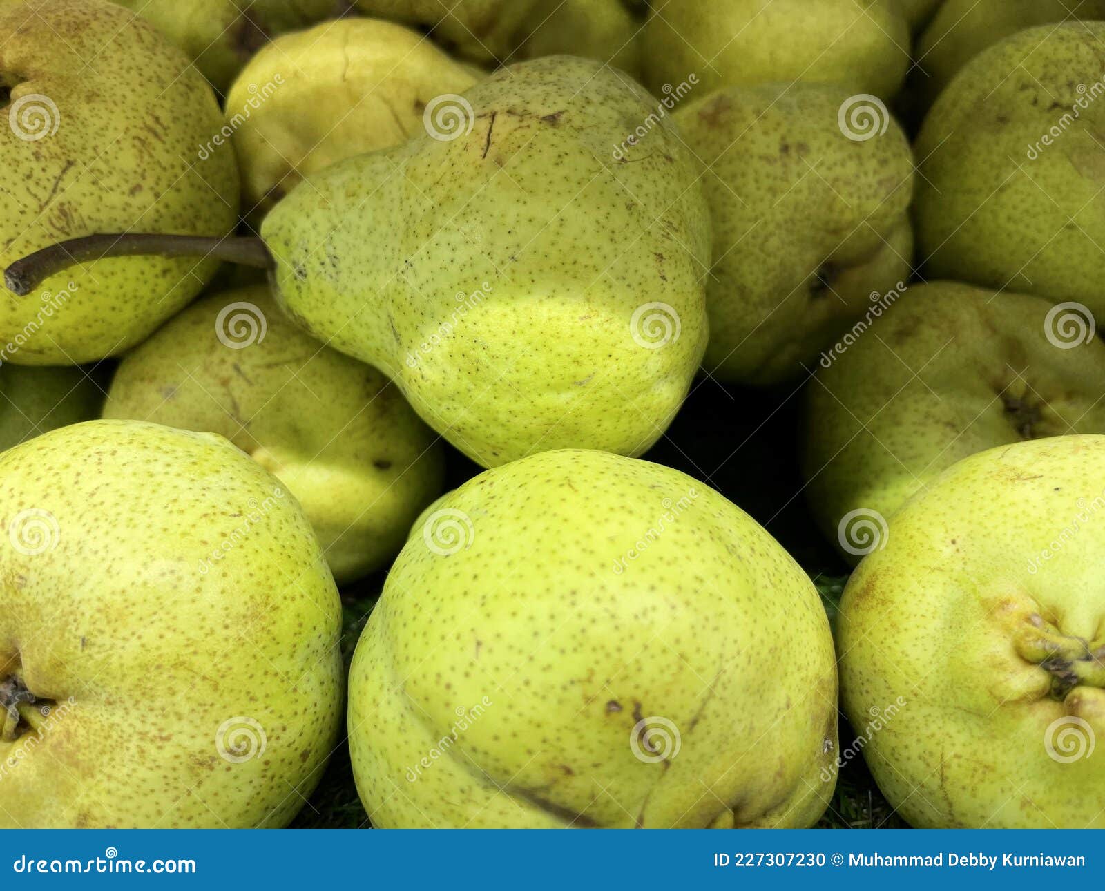 Pile of Australian Packam Pears Stock Photo - Image of packam, fruits ...