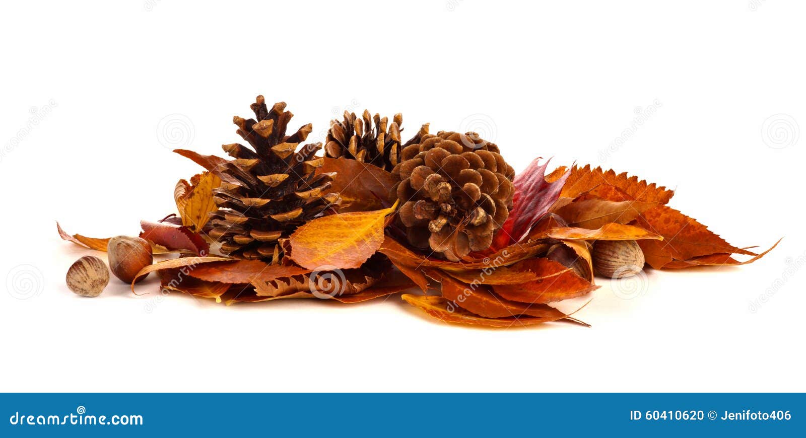 The Leaves Of The Pine Trees Are Very Thick And Have Many Branches ...