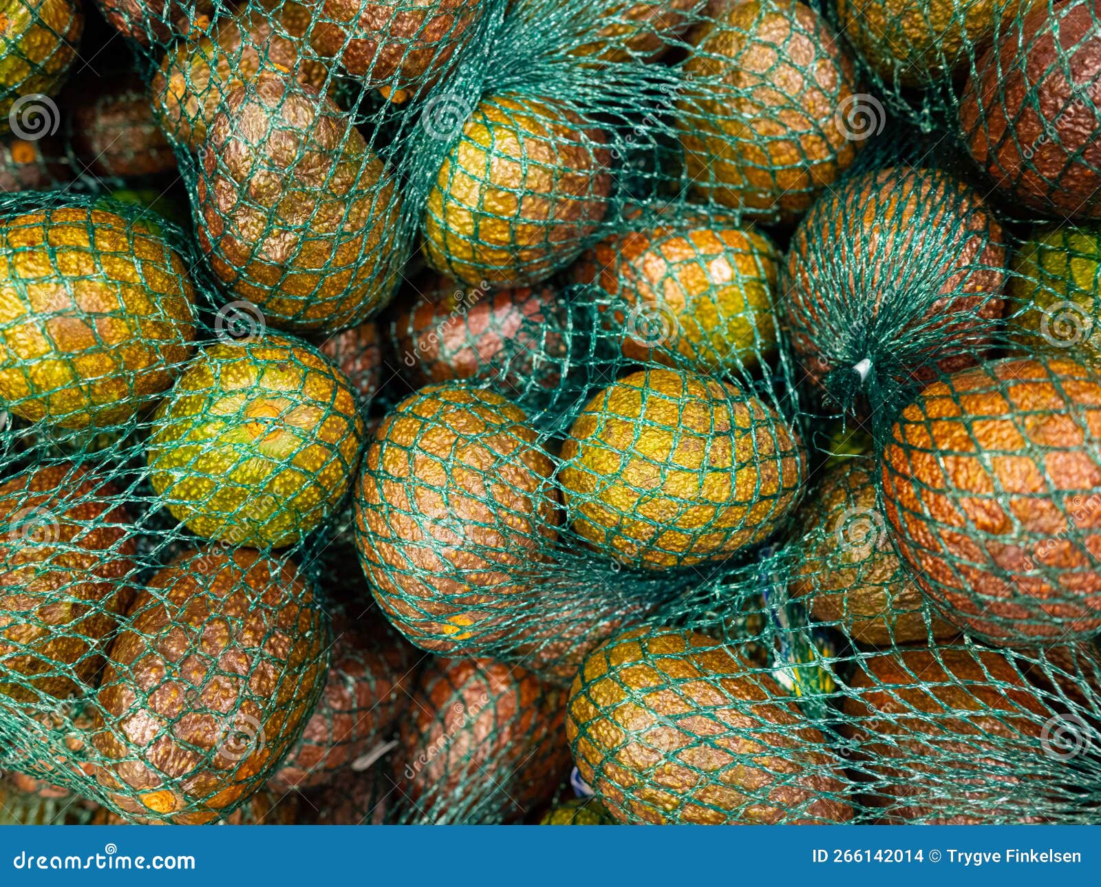 Pile of Avocados in Green Nets Stock Photo - Image of fruit, diet ...